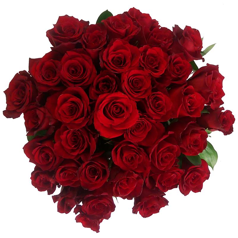 Obsession 36 Red Rose Bouquet | Fresh Rose Flowers Arranged and ...