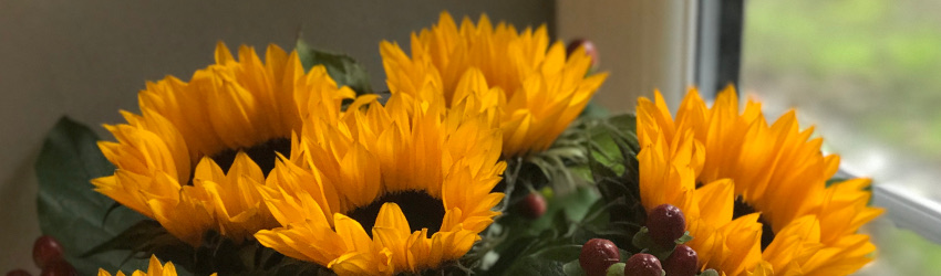 Order Sunflowers Online with Free Delivery by Clare Florist