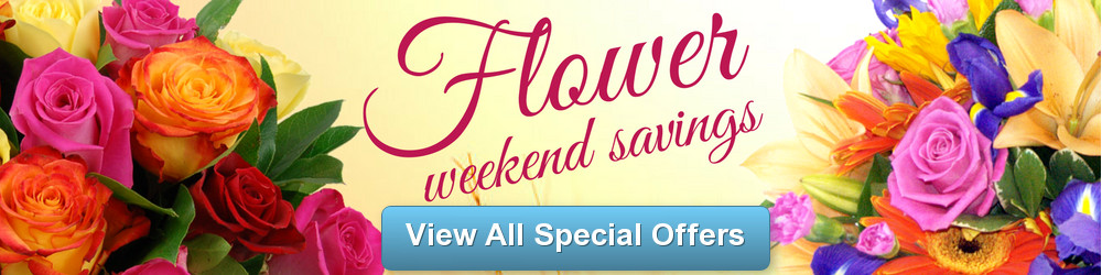 Flowers Delivered: Next Day Flower Delivery, Order Flowers Online with ...