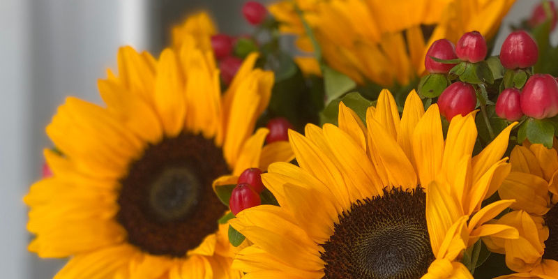 Send flowers online | Free UK flower delivery: Clare Florist