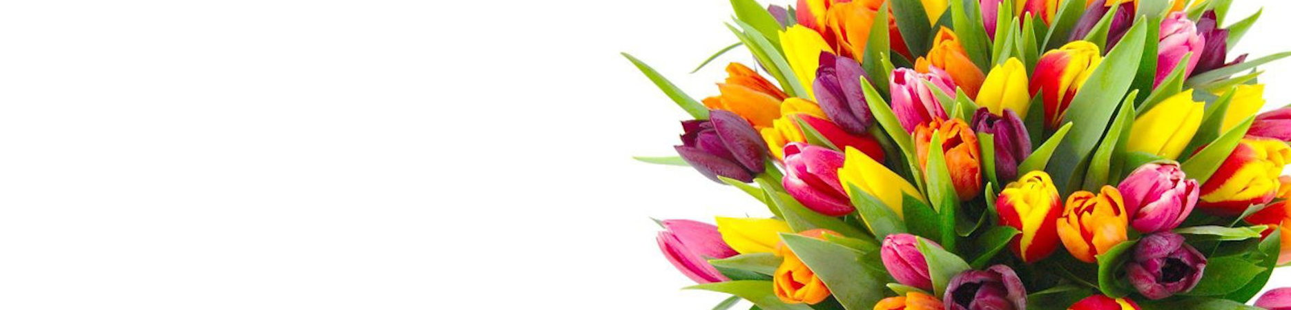 Send flowers online | Free UK flower delivery: Clare Florist