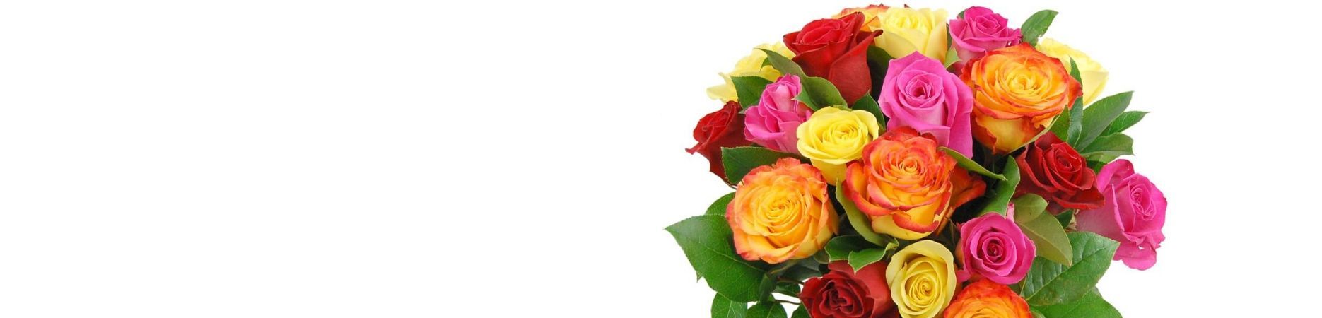 Send flowers online | Free UK flower delivery: Clare Florist