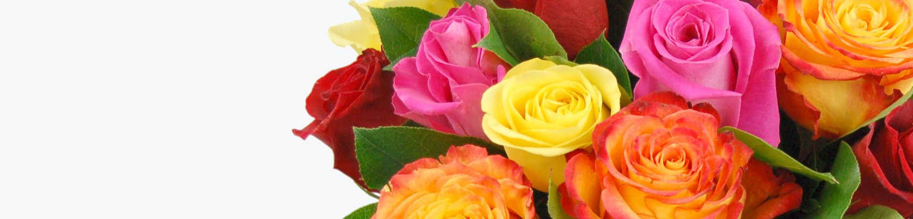 Flowers Delivered | Next Day Flower Delivery with Clare Florist