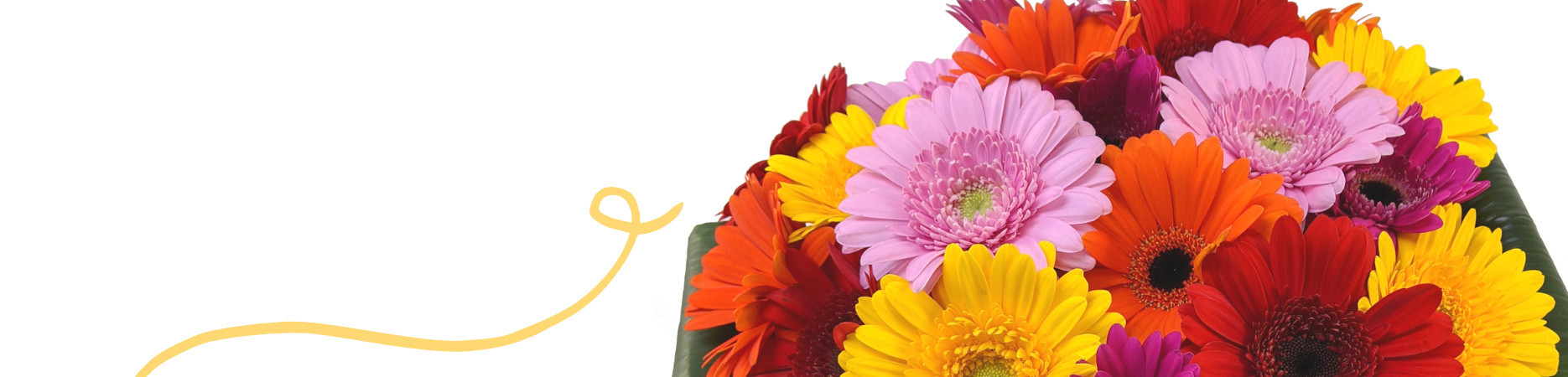 Send flowers with Free Delivery across the UK: Clare Florist