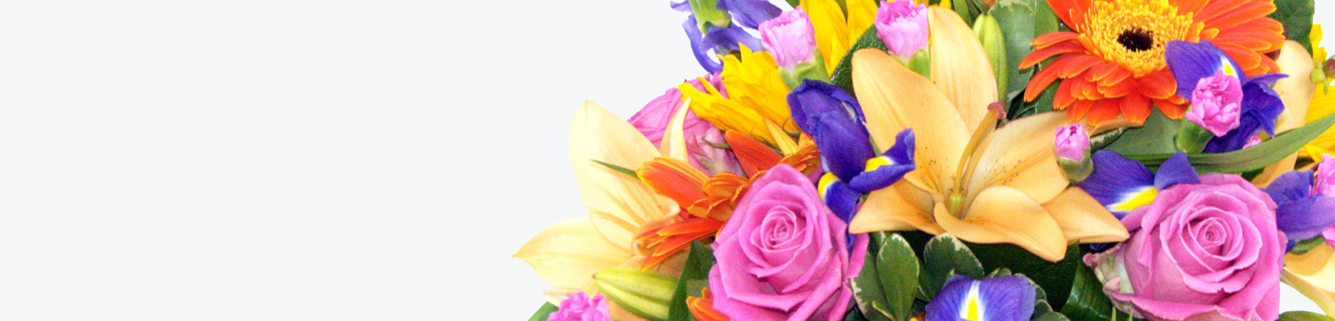 Send flowers online | Free UK flower delivery: Clare Florist