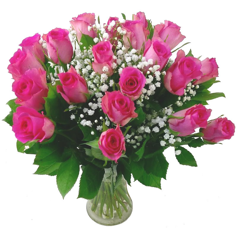 20 Pink Roses with Gyp Fresh Flower Bouquet | Lovely Pink Roses ...